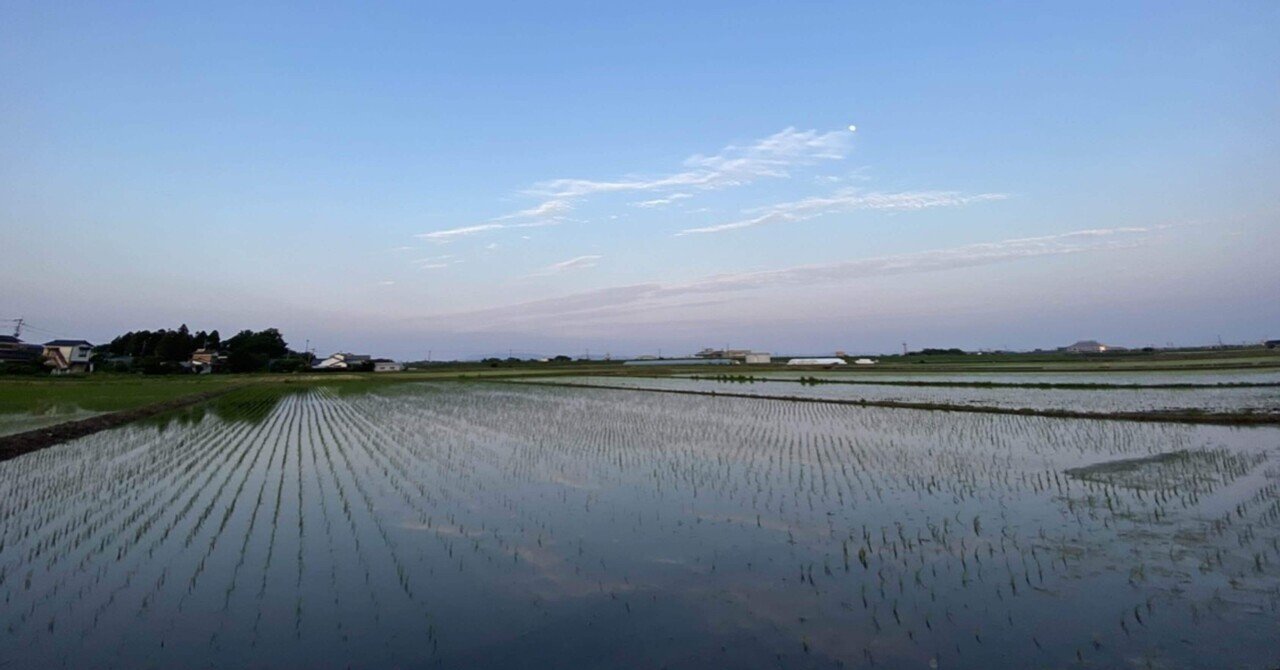 生きるわたし｜maco｜note