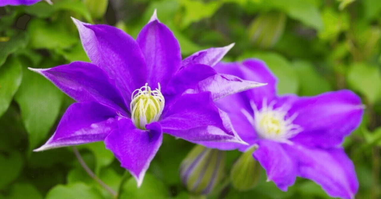 自分の人生で成功なんかしたことがなかった人が、初めての成功体験ができた、今までの自分の考えとは違う、ある考え方。成功したあとの感想「なんだか ...