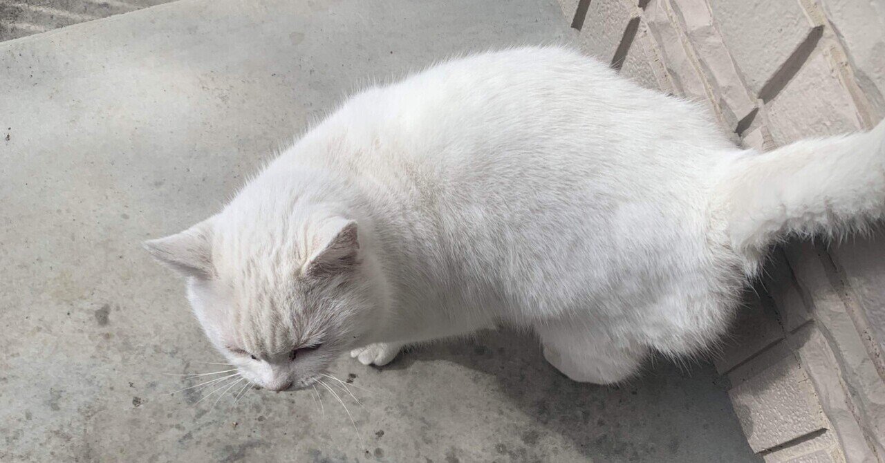 確定申告を仕上げる日｜赤城山 太郎@FIRED CFP｜note