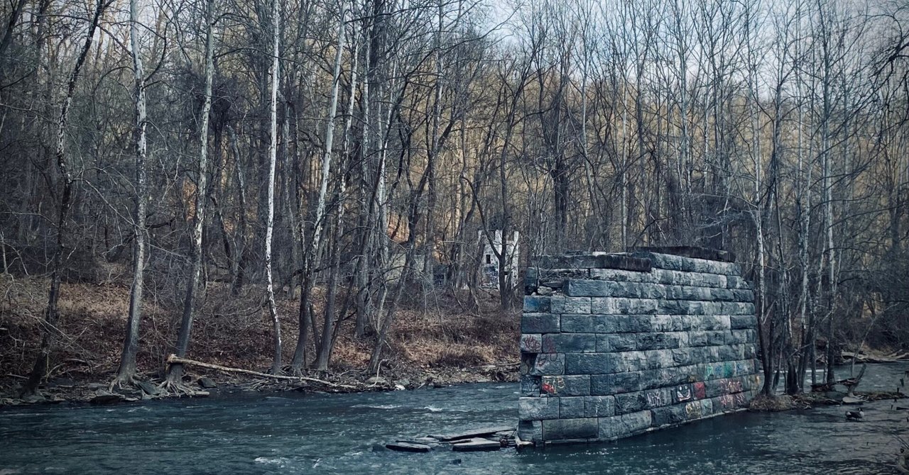 Day 22 (of 56) アラフィフダイエット「8週間チャレンジ」：根管治療した。｜Chie｜note