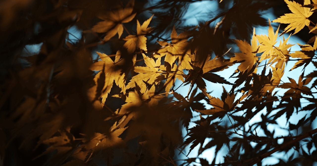 冒険は若いうちにする〜"若さ"とは〜｜Ryosuke Matsusima｜note