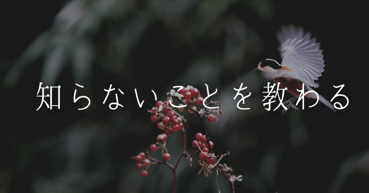 知らないことを教わる｜INAMI｜note