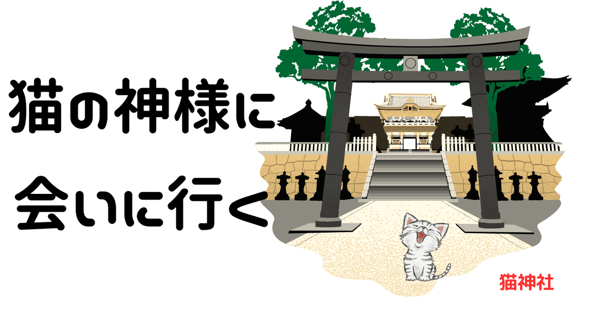 猫の神様に会いに行く｜hiro inoue