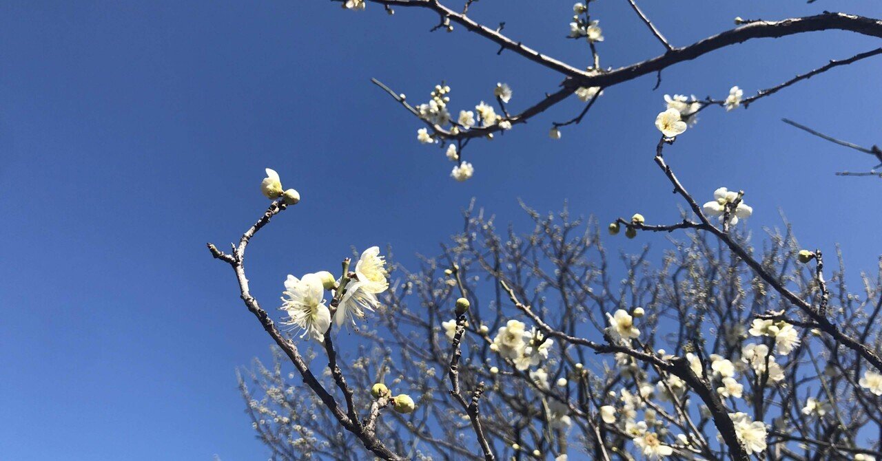 赤羽ポタリング｜Rie｜note