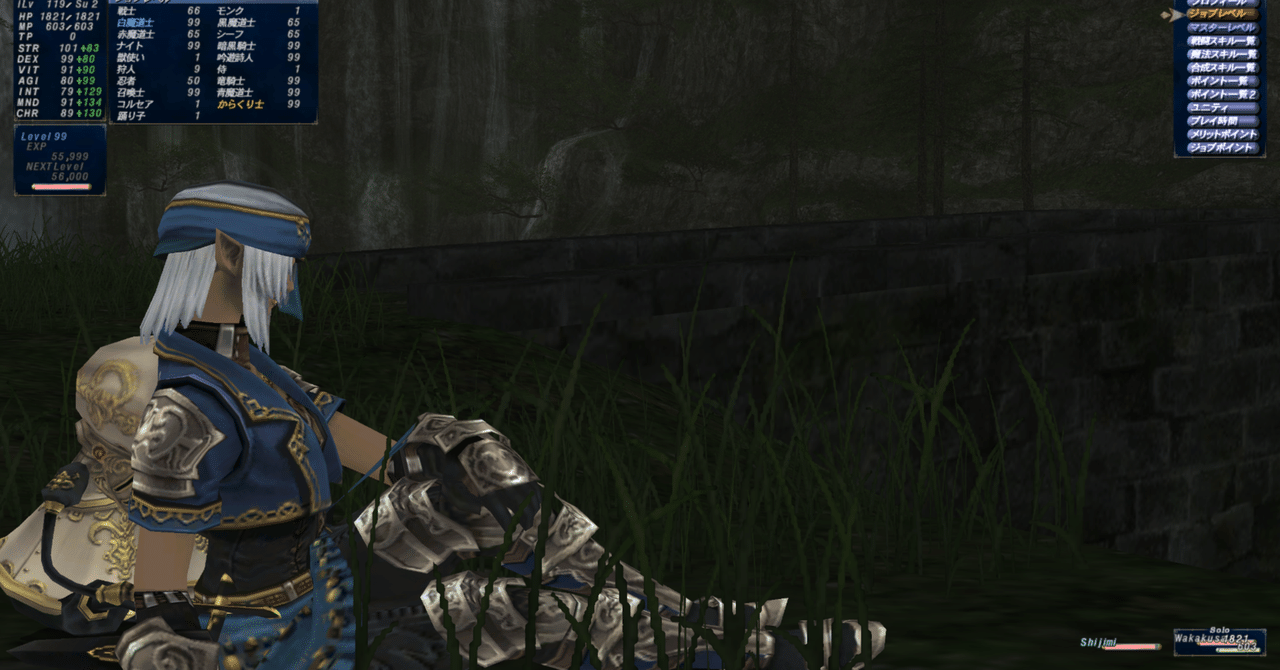 【FF11】どのジョブで遊ぶのか｜waka