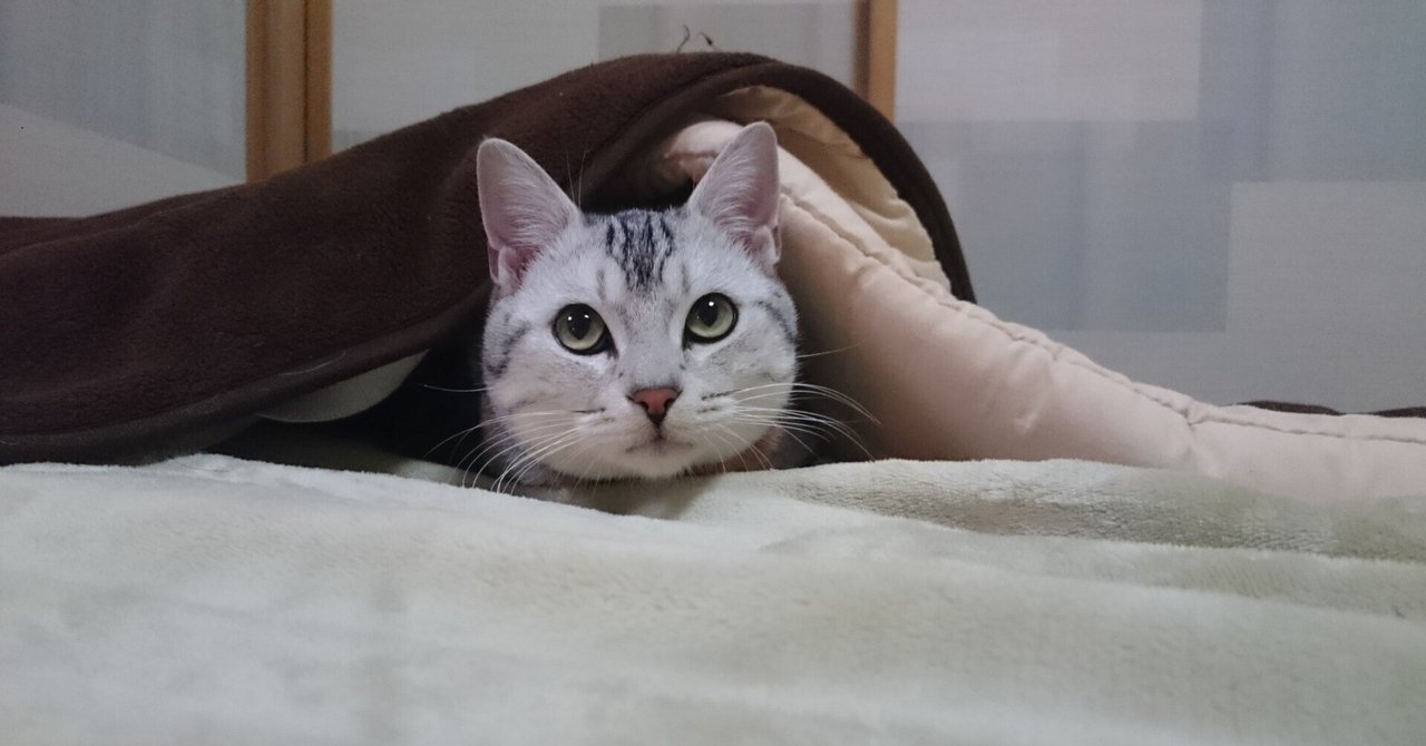 奇跡講座WB実践234 父よ、今日、再び私はあなたの子です｜(Linp&Ruru)本当の自分を知り、本当の自分として生きる