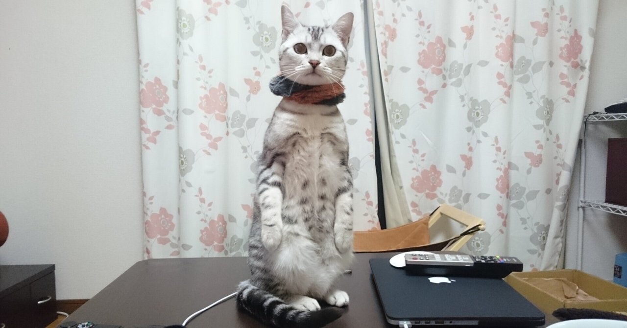 奇跡講座WB実践235 私が救われることが、慈悲深い神の意志である｜(Linp&Ruru)本当の自分を知り、本当の自分として生きる｜note