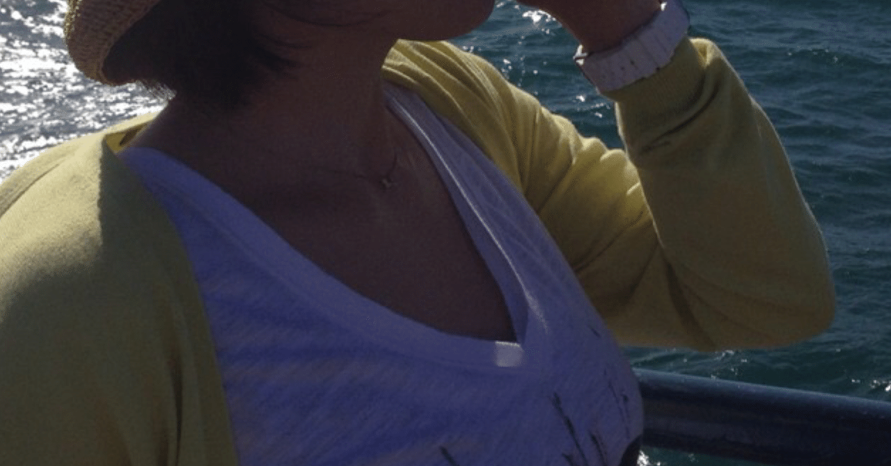 2/23 高知競輪G1｜miya ️競輪控え目な穴予想｜note