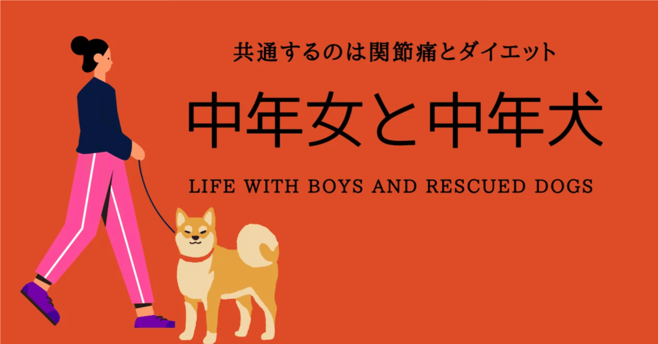 ツンデレ柴犬と近づきたい8歳がやったこと｜ライター：Funtrap＝Yukie Liao Teramach