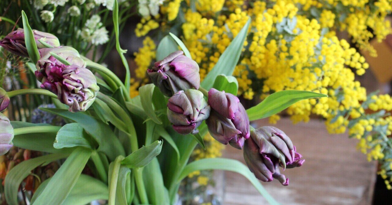 はながすきすぎる また仕入れられる有り難さ。｜花屋KONOHA｜note