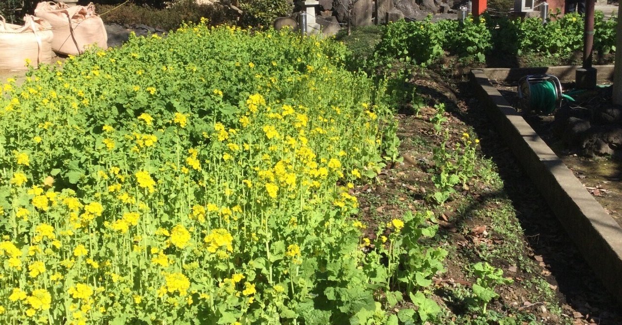 目黒不動尊。ちょっと気になるあれこれ｜Chappy｜note