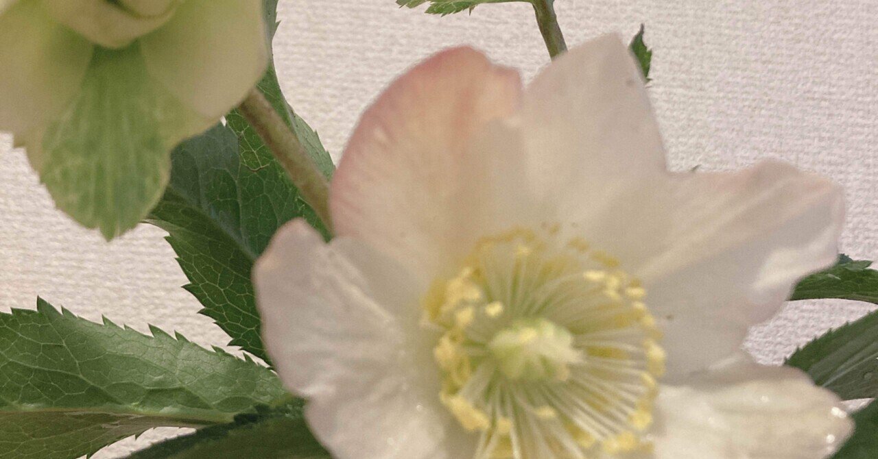 今春最大のミッションとは｜anko｜note