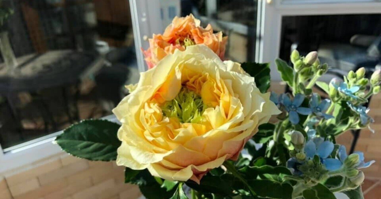 今日の1枚（2023/2/24）｜Chikako｜note