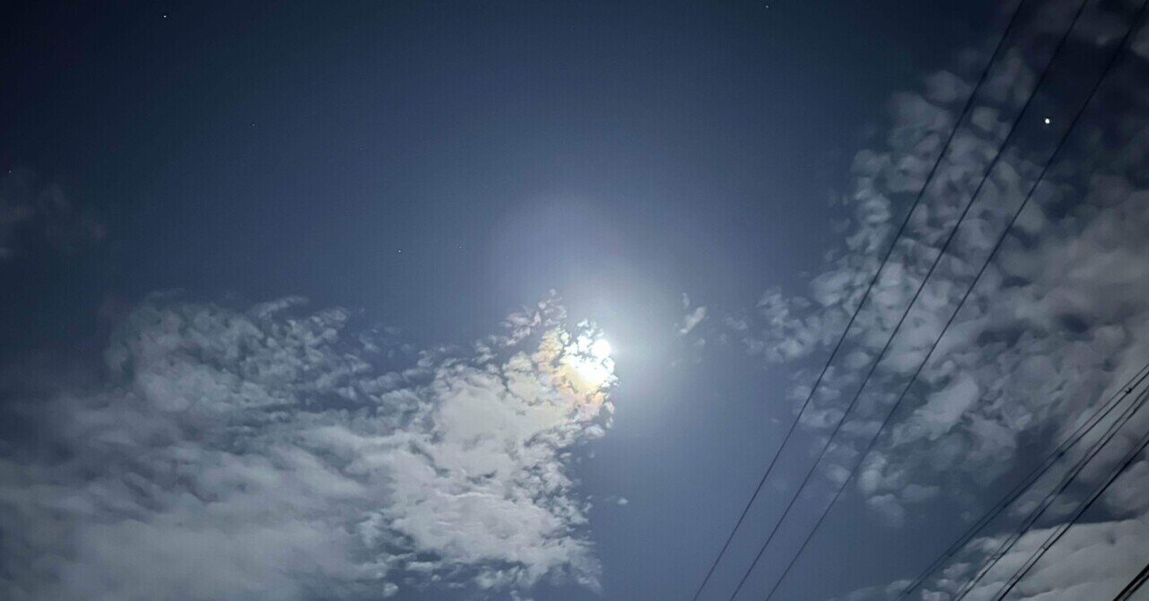 ACとIC｜Ruka｜note