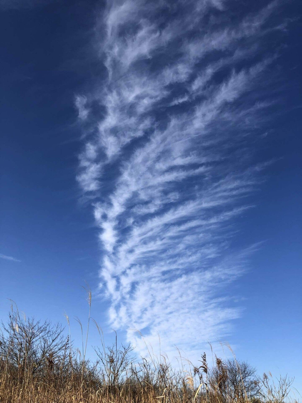 大きな翼｜team_ueno｜note