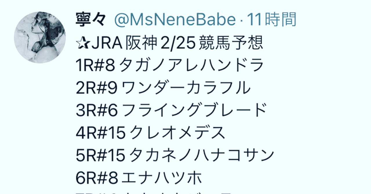 JRA阪神2/25競馬予想｜寧々(MsNeneBabe)