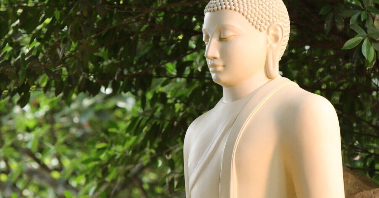 其の11「姿勢の良し悪しが瞑想をきめる」｜marimo's JOURNAL｜note