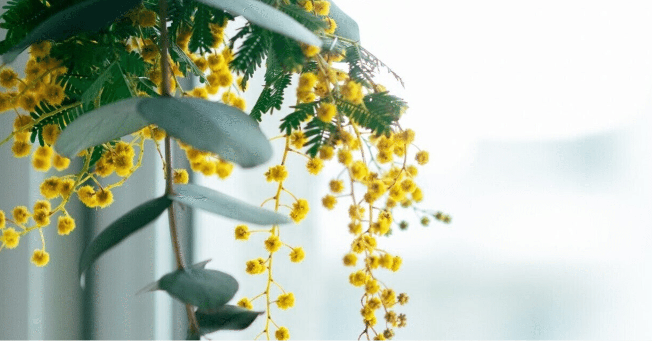 日報 何をする気にもなれない休日に向けた頓服｜yamome shima｜note