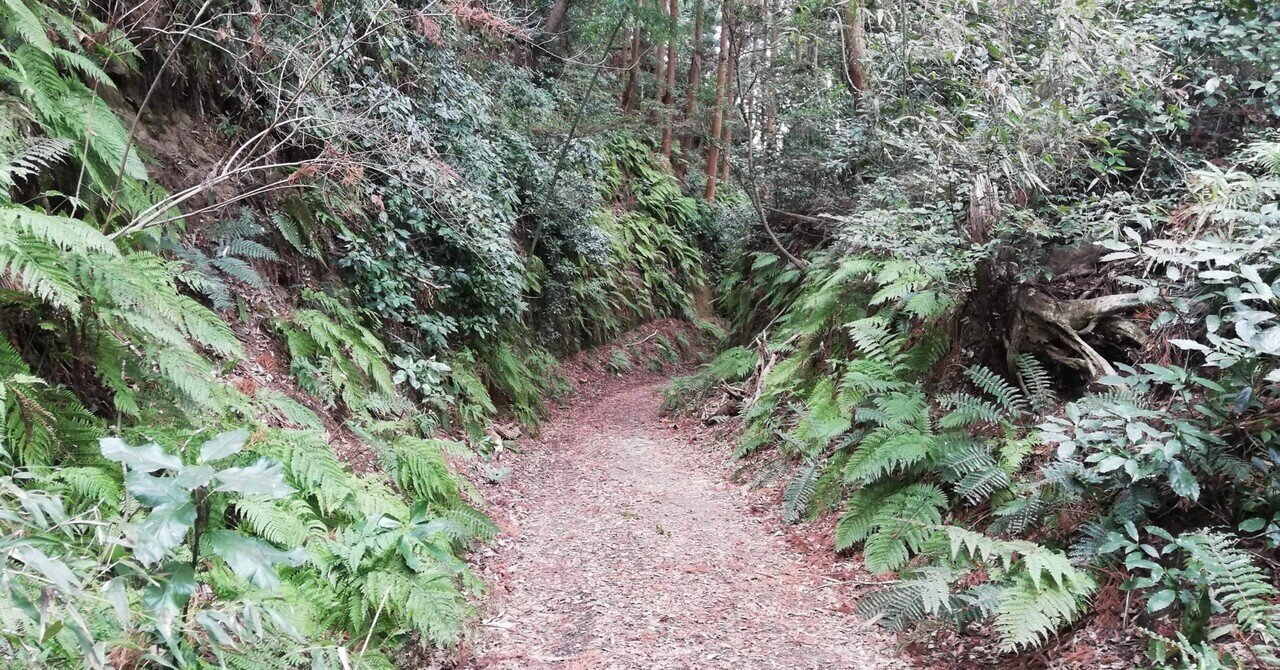 ジャングルランニング｜taka_running