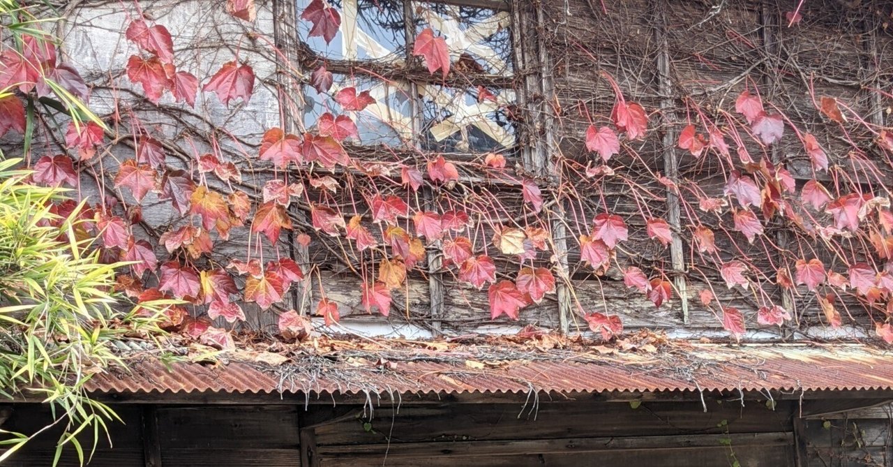 それぞれの「初恋」はどこに消えた｜racoco｜note