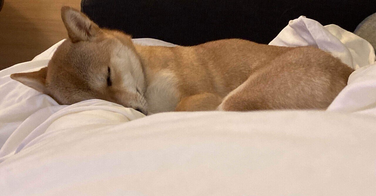 2月26日(日)/無事に退院｜723nk｜note