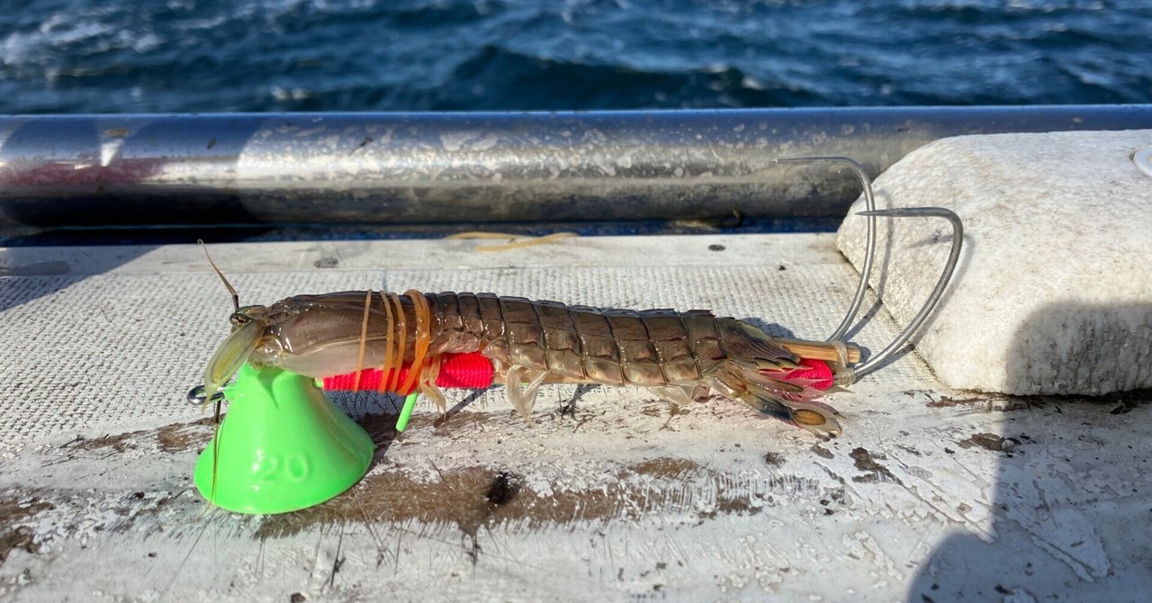 20230225 三喜丸 スミイカ｜kumaneko1118｜note