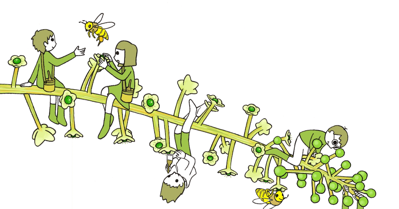 植物の性について｜Ayako Kawai｜note