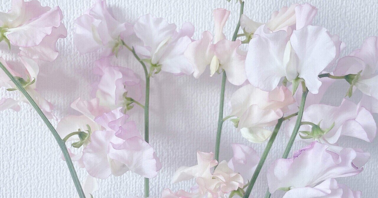 多方面に愛を伝えたい｜おきありちゃん／Oki Arisa｜note