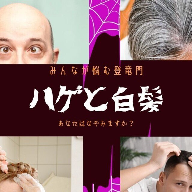 ハゲと白髪｜Minto Tamaki