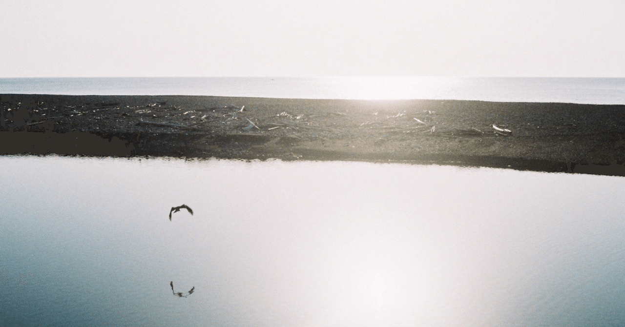 '23/02｜mikA｜note