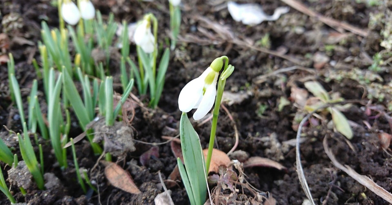 奇跡講座WB実践240 恐れはいかなる形においても正当化されない｜(Linp&Ruru)本当の自分を知り、本当の自分として生きる｜note