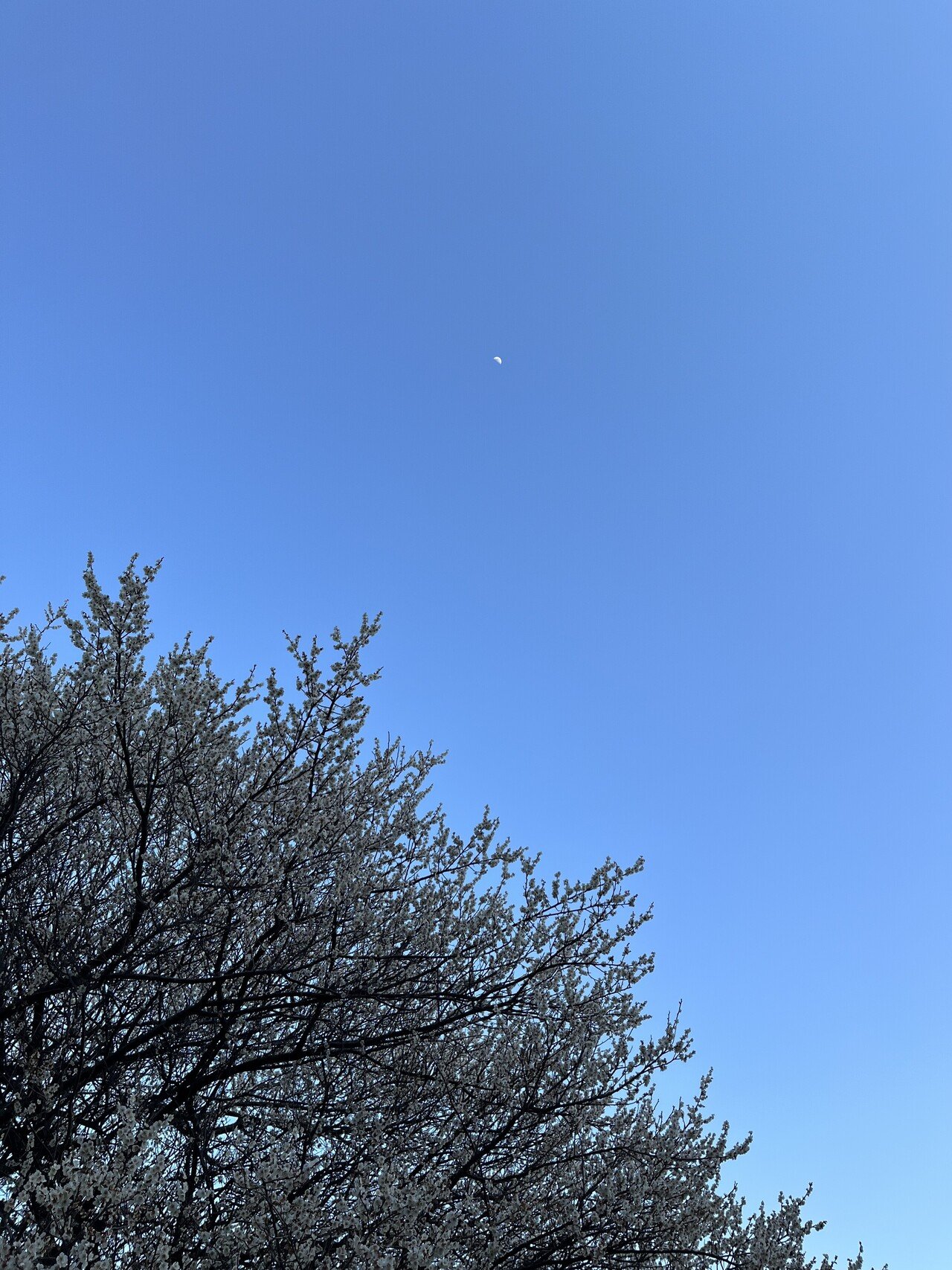 『おはようnote☘️ 』 おはよう御座います😊 今日も始まりましたね！ 今日も気をつけて、 いってらっしゃい😆 ｜Ryosuke Matsusima