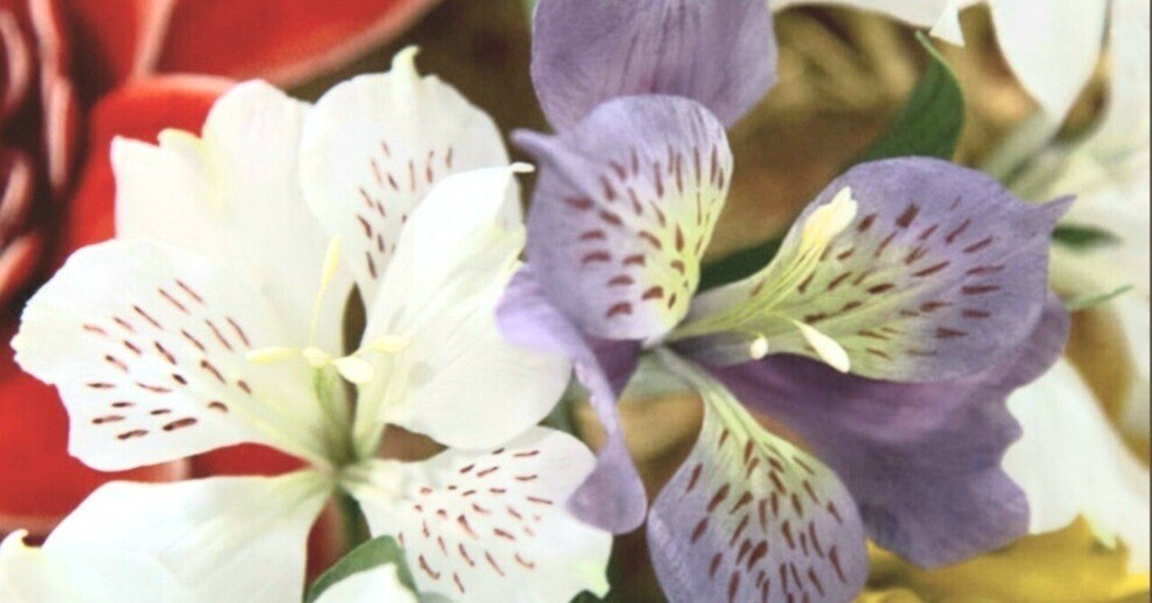 ケーキデザイナーの世界大会へ！！ #02 ～新課題｜OtsukaYosuke 大塚陽介｜note