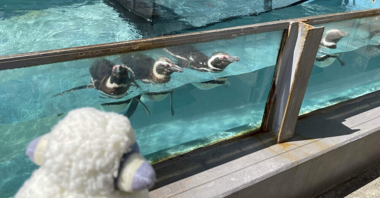 2023年2月27日「PPPPPP」｜ナラハシ