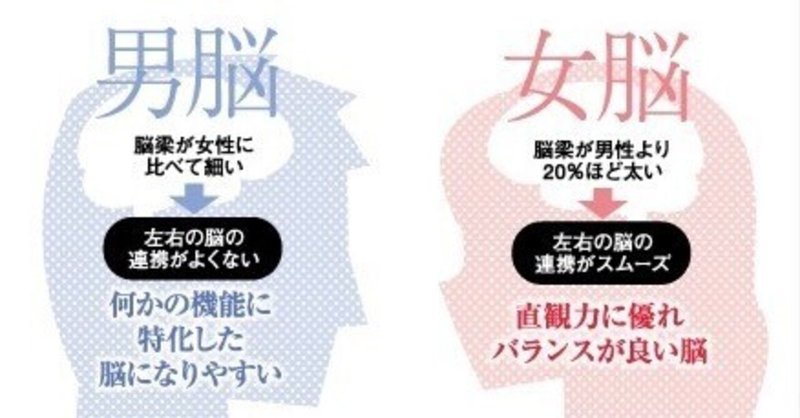 男性脳、女性脳って本当にあるの？｜古谷しづか／保健師／起業家