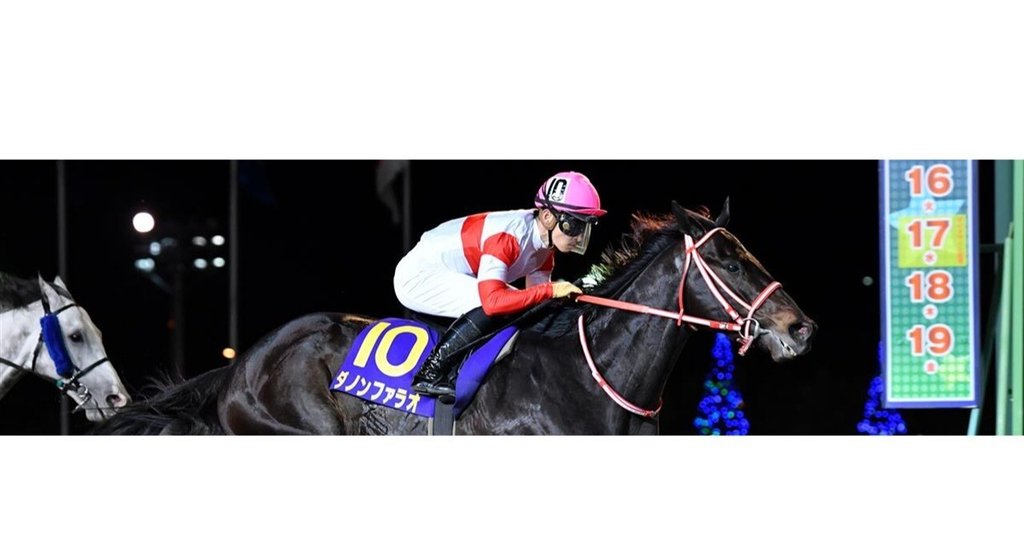 【2023年3月】地方競馬note|穴馬特捜班|note