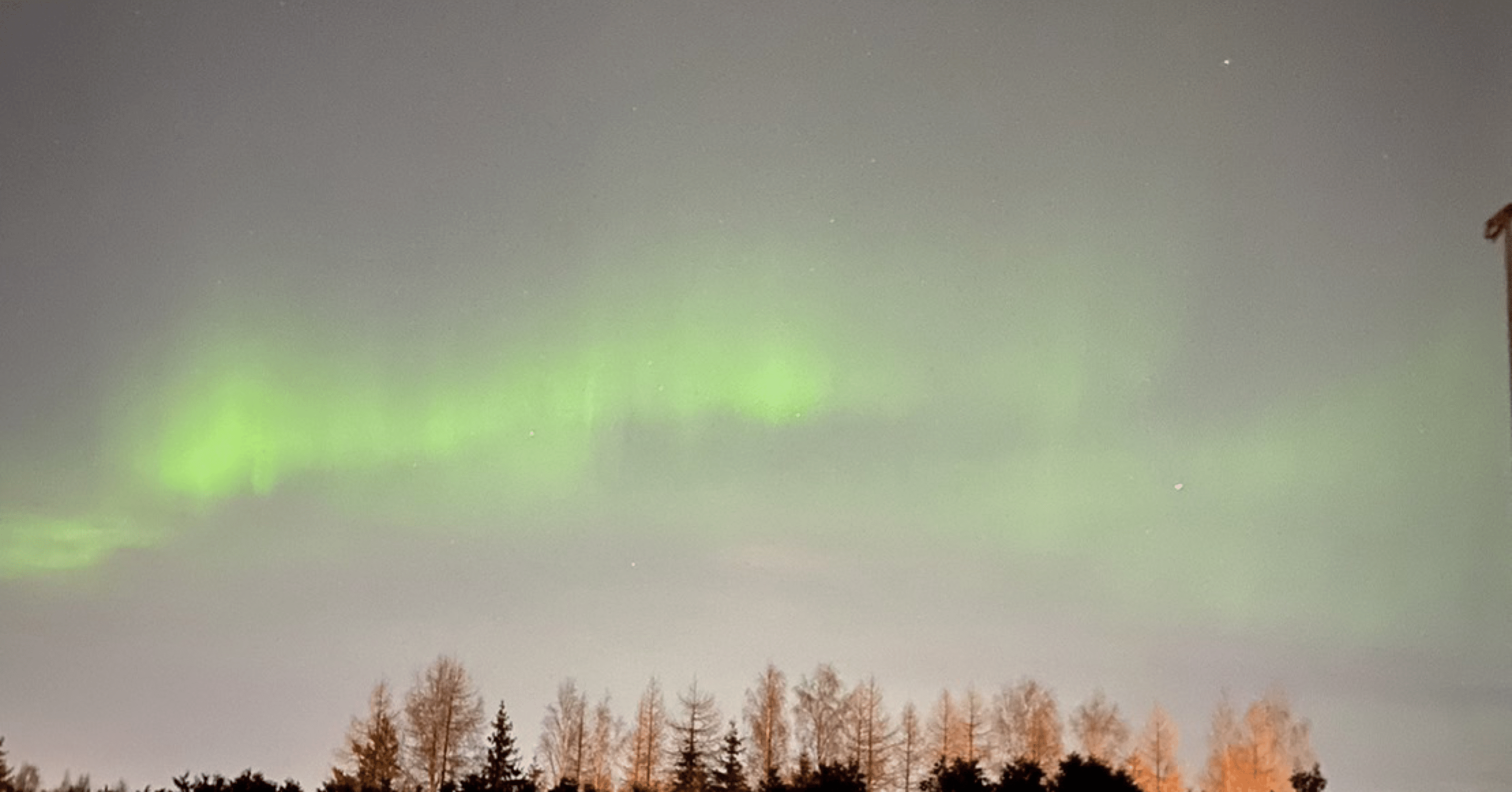 内山竣太/Shunta Uchiyama｜note