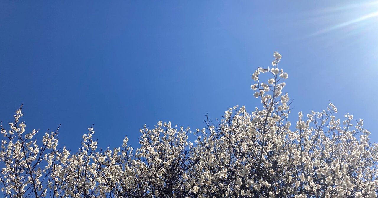 一歩目を踏み出すこと、3｜湊谷翔-Minatoya Kakeru-｜note