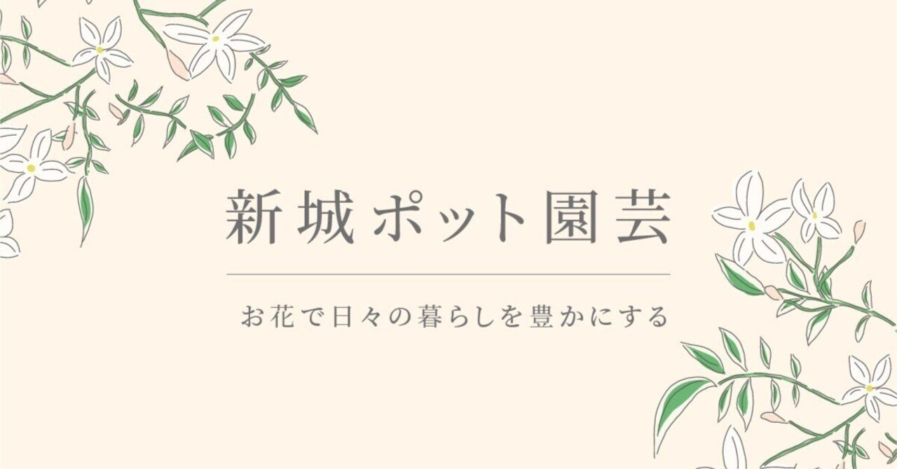 サイコウ株式会社（SAIKOU, inc.）｜note