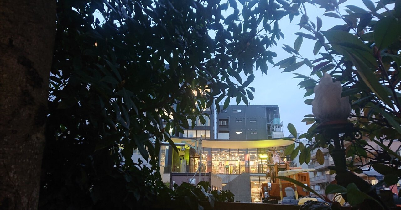 【DIARY 20230225】記憶マジック｜とらねこ