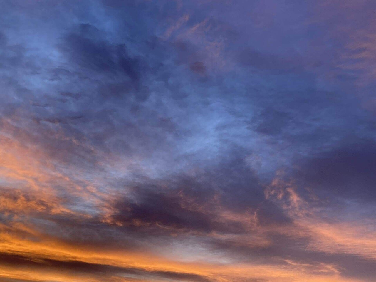 朝焼け｜CHIYO pescatarian｜note