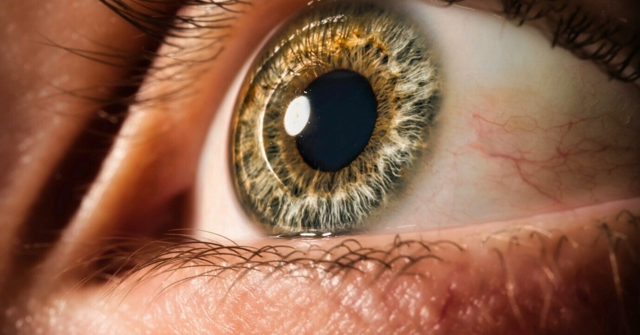 【東北にしかないカフェ！？】 に囲まれて食べる空間にビックリ！｜【fl-ayaka】角綾夏(すみあやか)