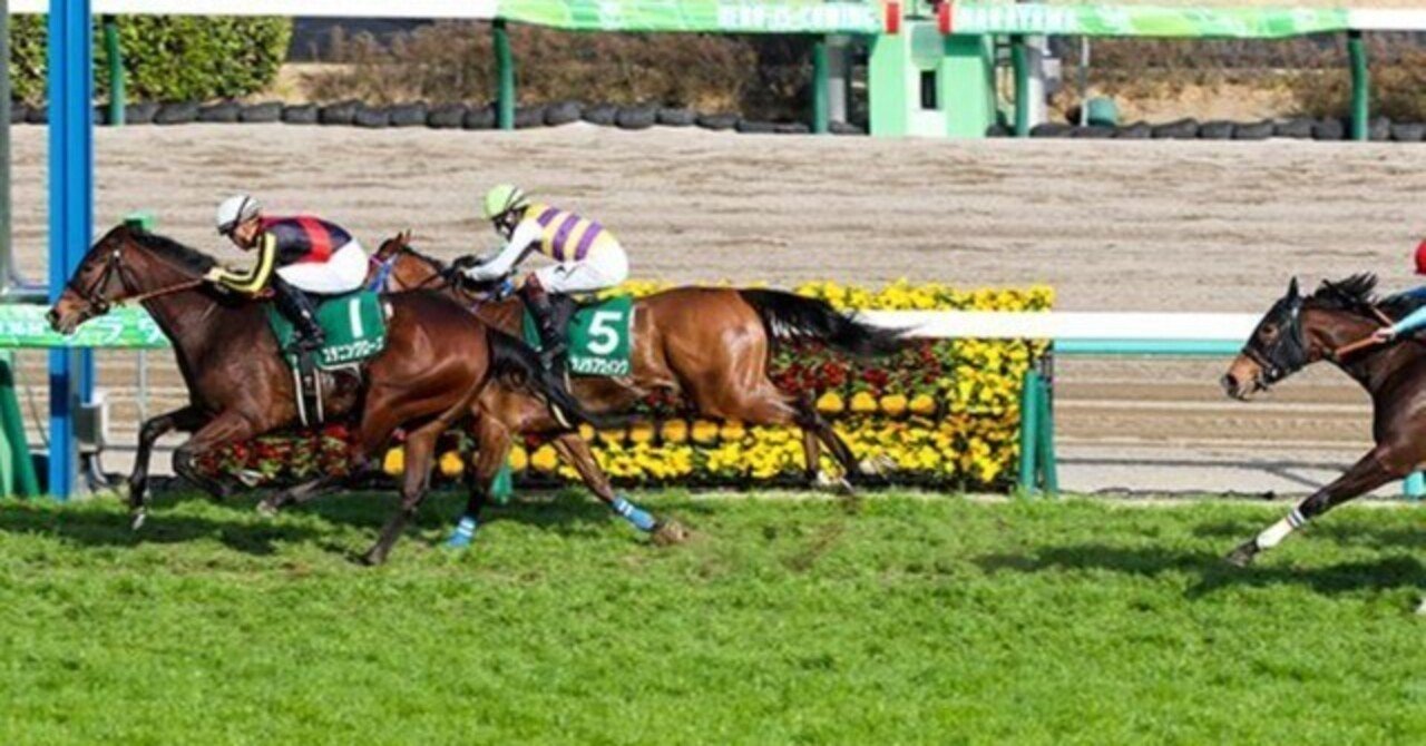 【2023 フラワーカップ（G3）】日刊馬番コンピ指数分析予想篇｜Haya