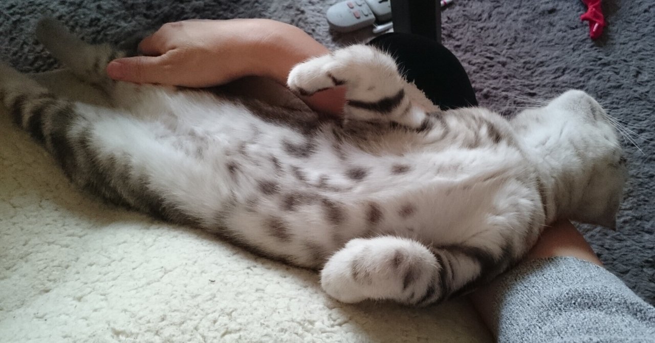 奇跡講座WB実践242 今日一日は神のものである｜(Linp&Ruru)本当の自分を知り、本当の自分として生きる｜note