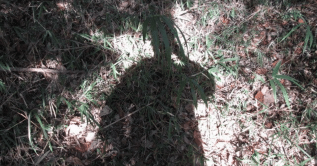 【Interview】 人×ワーケーション｜No.1 西和人｜kuma-kation