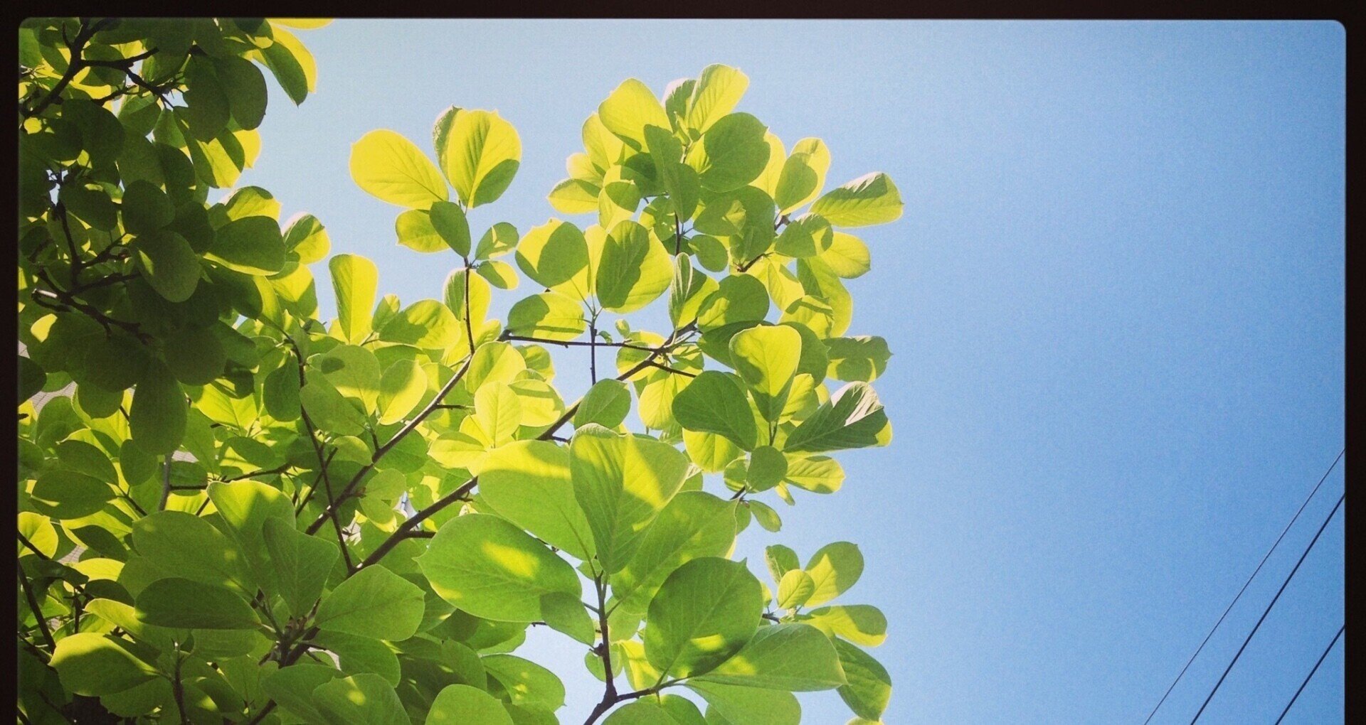 mayur kitamura｜note