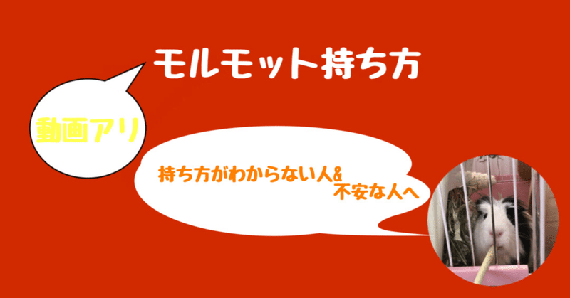 morumotto_ruru｜note