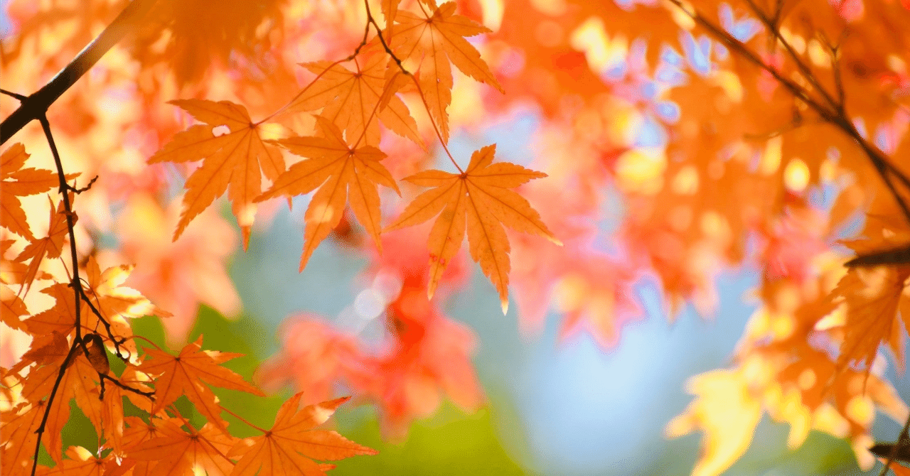 【読書感想】＃3「名探偵のままでいて」（小西マサテル）｜OzOz