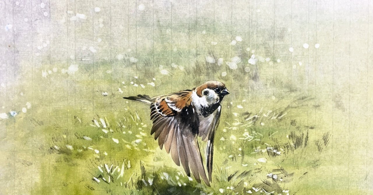 朝の日課｜Michitake Matsui｜note