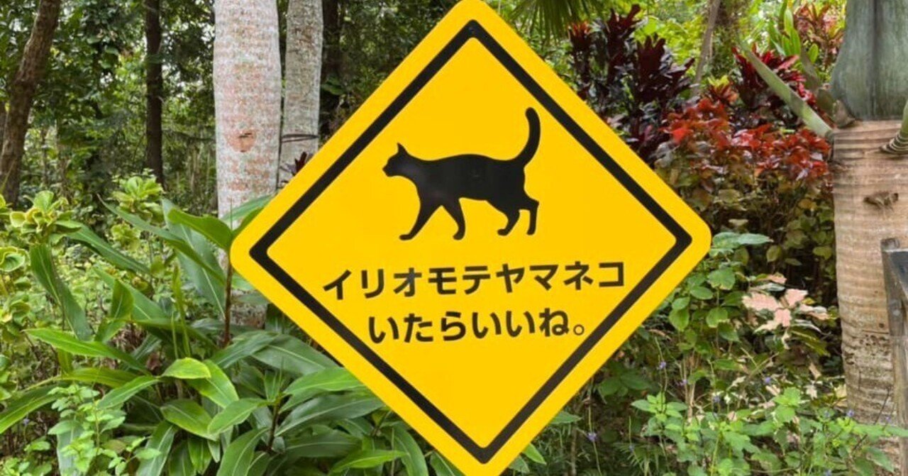 今日の1枚（2023/3/2）｜Chikako｜note